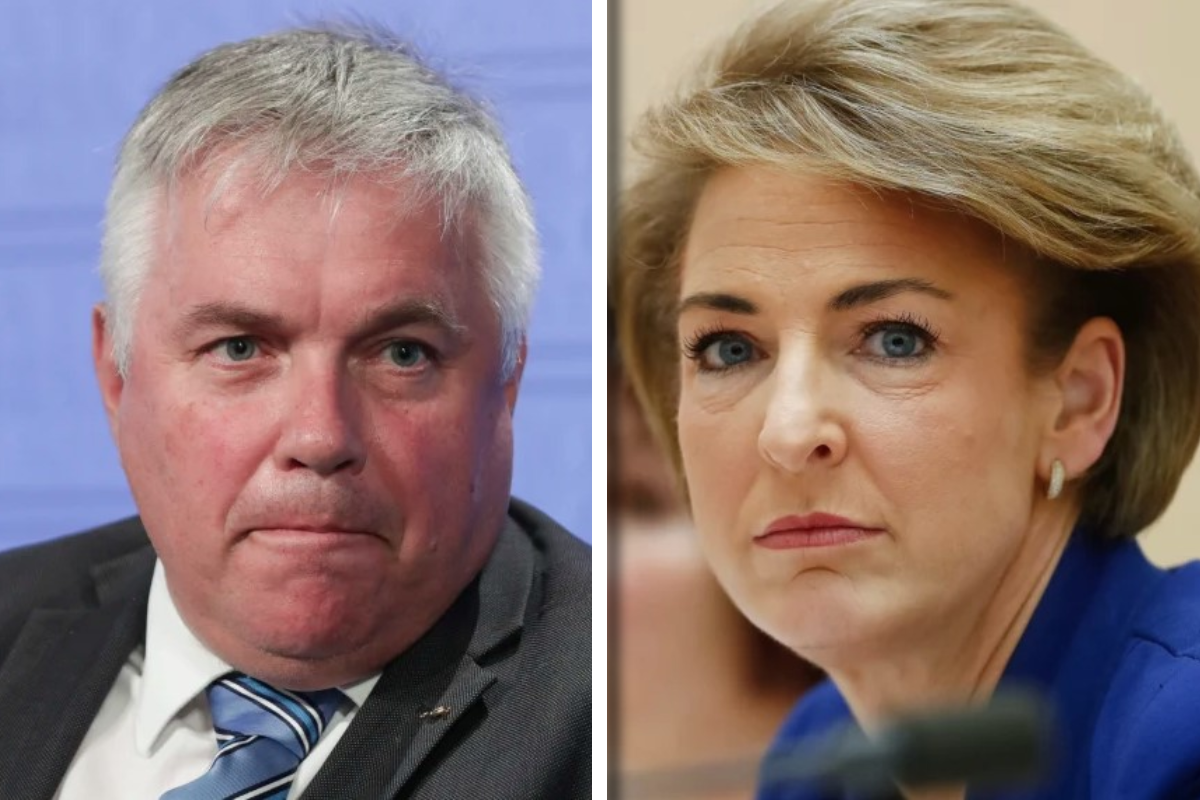 Senator calls out Federal government for claims over 'unqualified' AAT ...