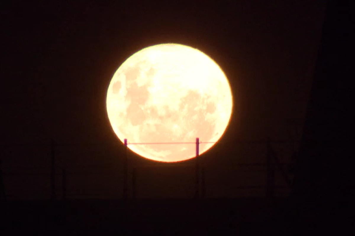 Millsy gets into Astrology with the 'pink' full moon and its secrets