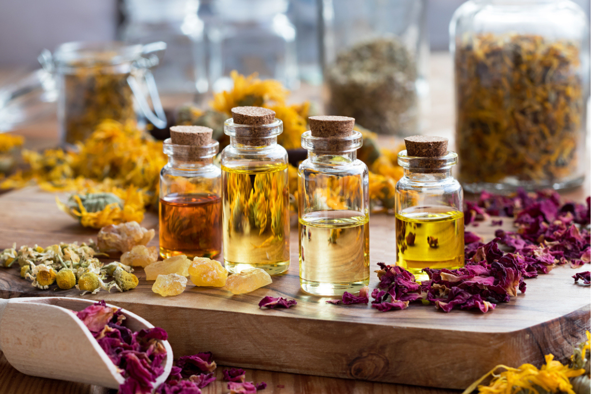 In Search Of Perfumes The Art Of Perfumery in-search-of-perfumes-the-art-of-perfumery