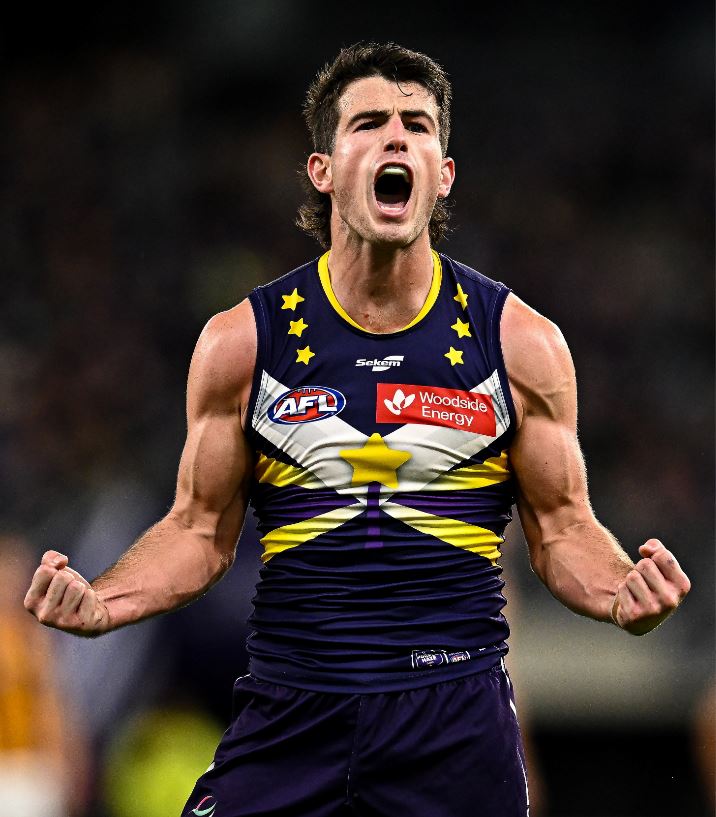 The Dockers down the Hawks in Starlight smashing