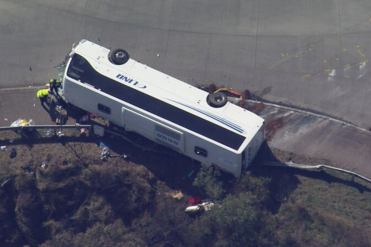 'Distraught' bus driver on bail following horror Hunter bus crash