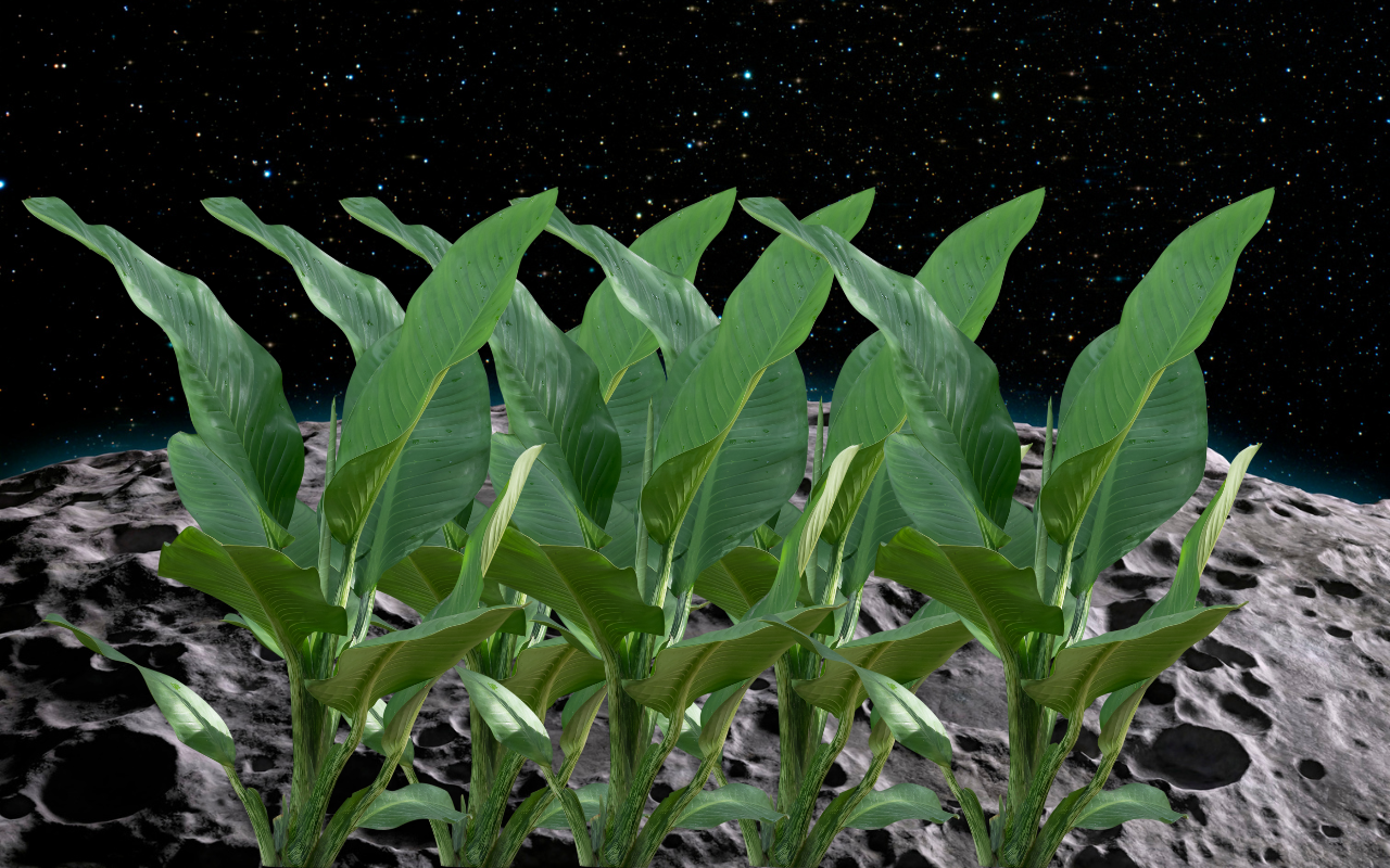 NASA's game-changer: Lunar-grown plants coming back to Earth