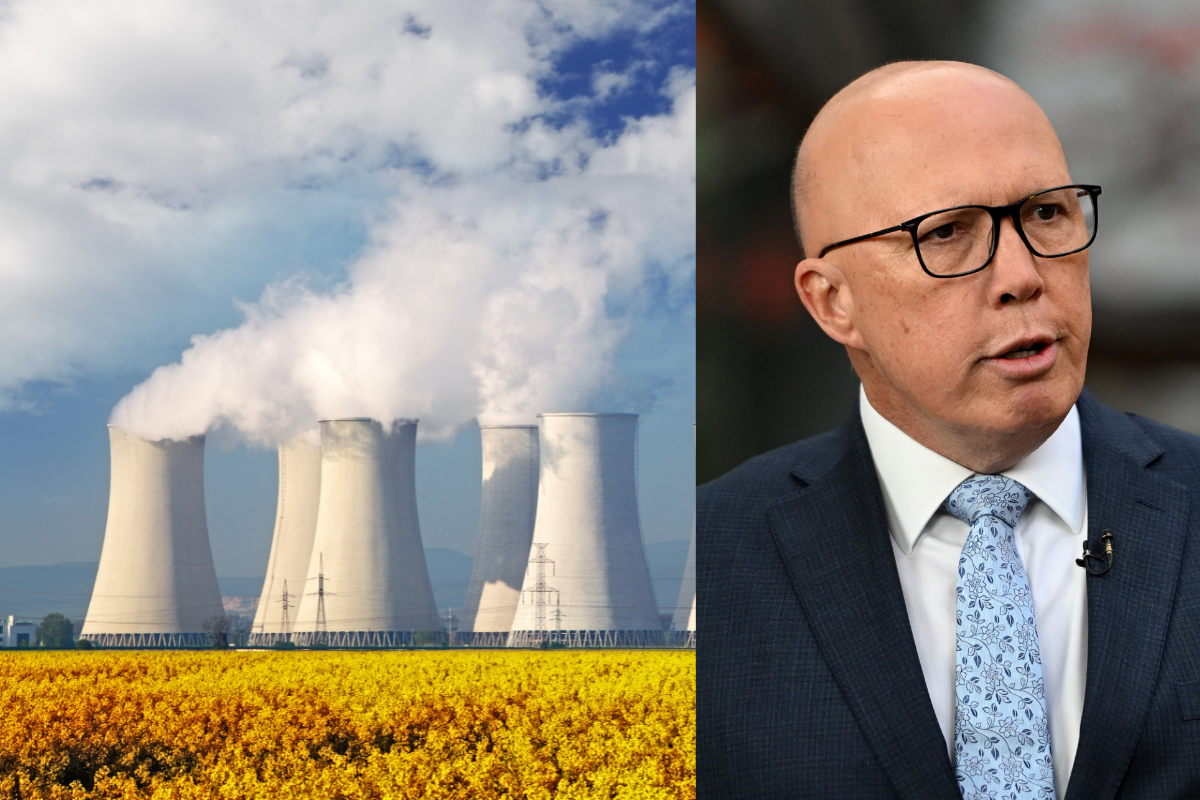 Dutton's nuclear plan divides