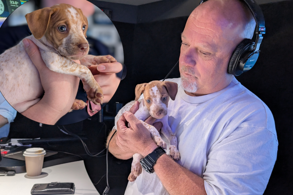 RSPCA highlights its integral role in protecting WA animals